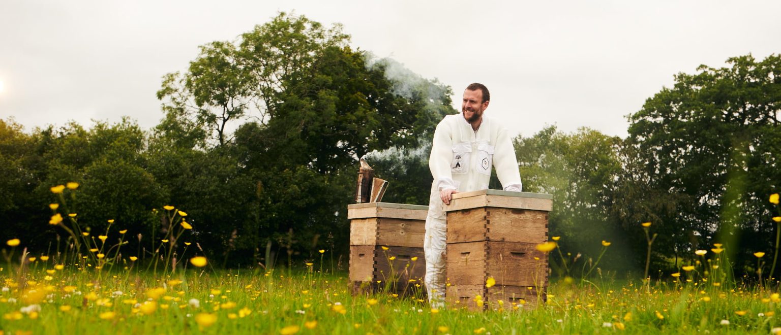 Discover the Golden Goodness of Gwenyn Gruffydd Welsh Honey - WalesLink