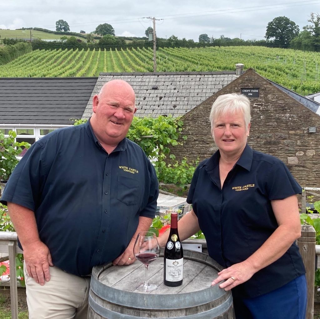 The Ultimate Guide to White Castle Vineyard: Award-Winning Welsh Wine